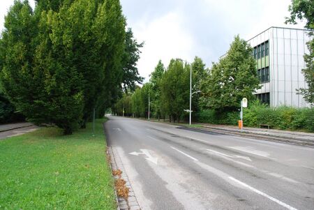 Europastraße – Linz – LinzWiki